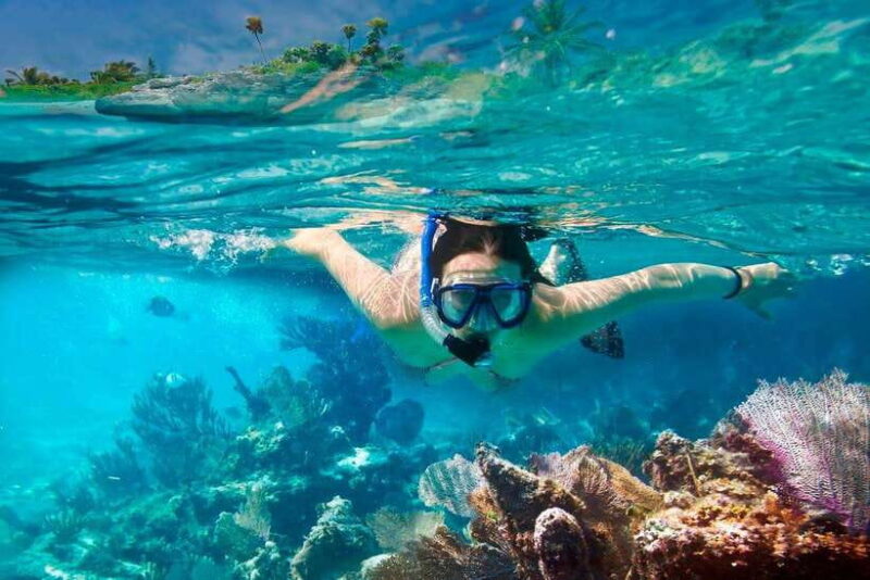 Hoi An/Da Nang:Cham Island Daily Tour-Snorkeling Experience - An In-Depth Look at the Tour