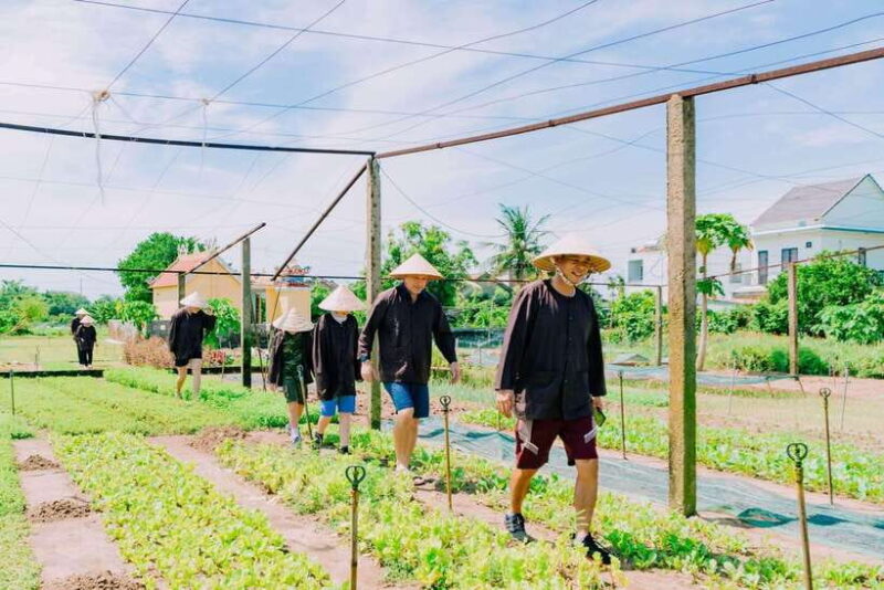 Hoi An Eco Tour : Bike, Farm and Lantern Making Experience - A Detailed Look at the Itinerary