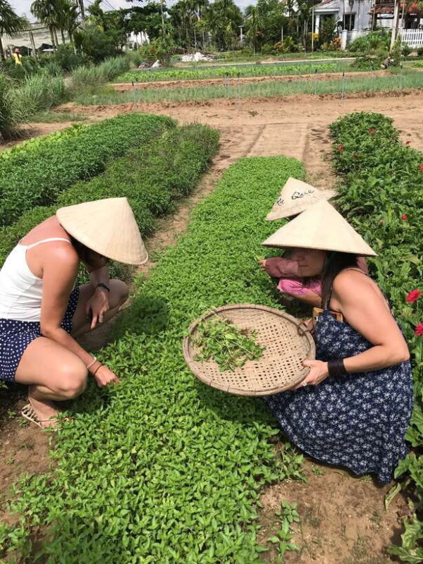 Hoian/Da Nang: Fishing, basket riding and cooking class - What to Expect from Your Vietnam Water and Cuisine Adventure