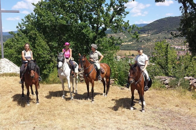 Horseback riding & Wine Tasting and snack Lunch at noble Estate - Price and Value