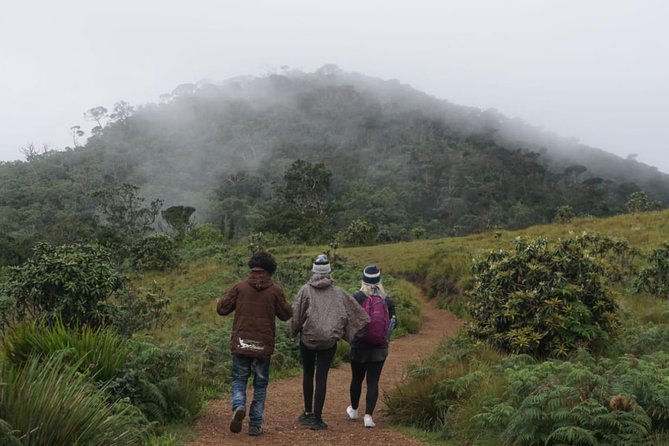 Horton Plains National park - The Sum Up