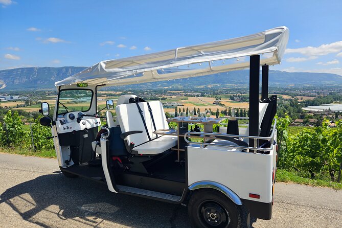 Immersion in the Geneva vineyards by tuktuk with tasting - Who Would Love This Tour?