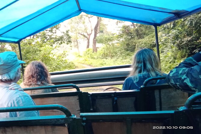 Jeep safari (4-5 hrs., Sharing) inside Chitwan National Park. - Who Should Consider This Tour?