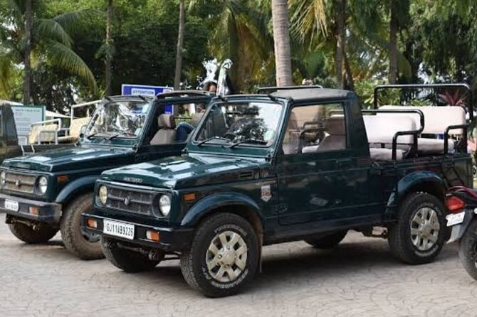 Jeep Safari: A Skip the line access to Devalia Safari Park India - What Travelers Appreciate Most