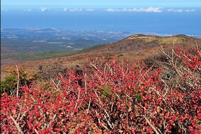 Jeju Taxi Tour KJ with Flexible scheduling - In-Depth Look at the Itinerary and Its Appeal