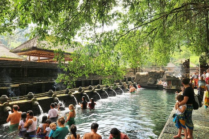 Jungle Swing - Volcano - Water Temple - Monkey Forest and Waterfall Tour - Optional Stops & Customization