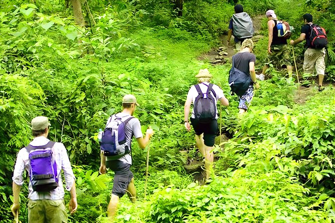 Jungle Trekking and Tamblingan Lake Canoeing in Bali Rainforest - What the Reviews Say