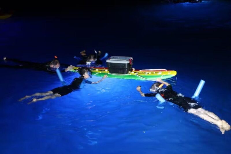 Kailua-Kona: Manta Ray Spotting Night Snorkeling Tour - Final Thoughts: Is This Tour for You?