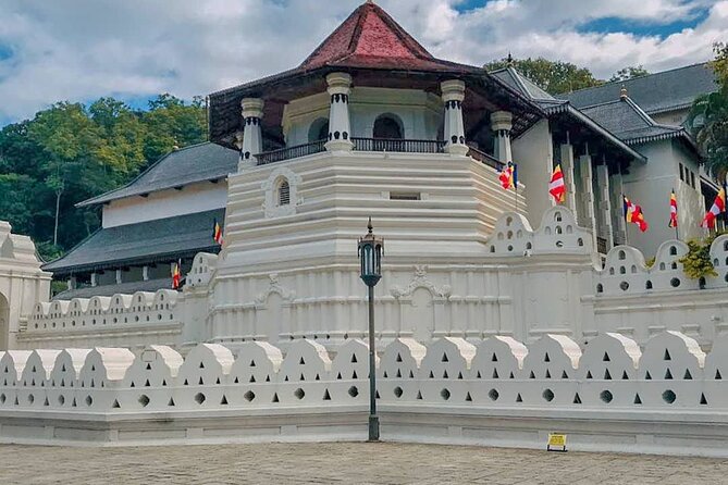 Kandy & Pinnawala Elephant Orphanage Day Trip from Negombo - What Travelers Say