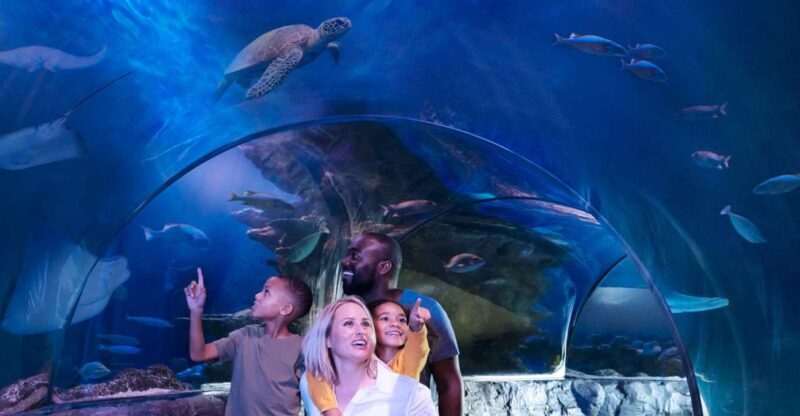 Kansas City: SEA LIFE Kansas City Aquarium General Admission - Practical Aspects and Value