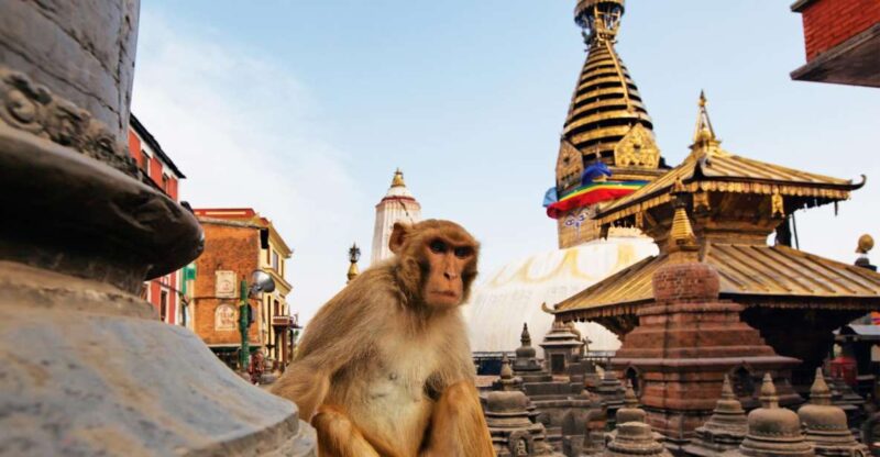 Kathmandu: Chandragiri cable car & Swayambhunath Tour - Practical Details and Value