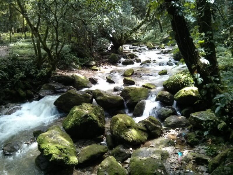 Kathmandu: Chisapani Nagarkot 3-Days 2-Nights Trek - Why the Tour Offers Great Value