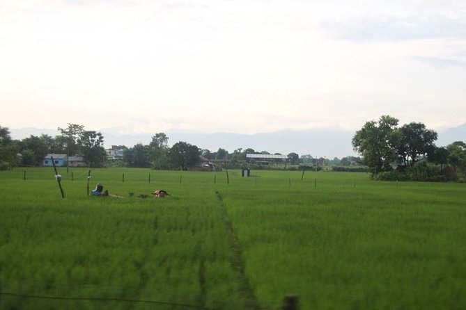 Kathmandu Chitwan Pokhara Tour - What You Get in This 5-Day Tour