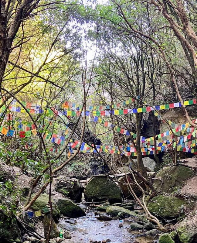 Kathmandu: Shivapuri National Park Day Hike with Lunch box - A Detailed Look at the Itinerary