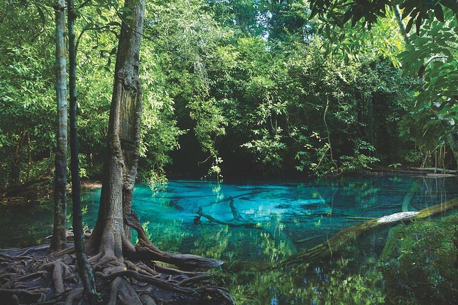 Kayaking in Ao Thalane - Discover the Mangrove life - The Experience: What Travelers Can Expect