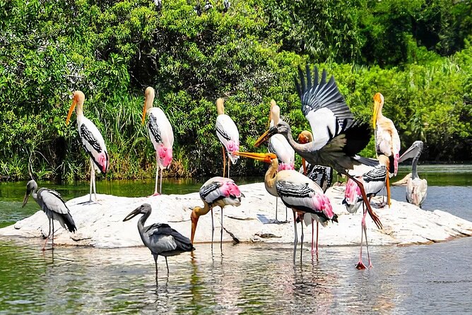 Keoladeo Birds Park Tour From Agra To Jaipur Including Entry - Why Travelers Love This Tour