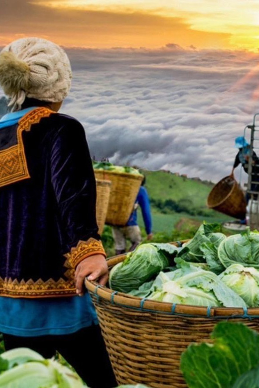 Khao Kho Private Tour from Bangkok | Thailand - Who Should Consider This Tour?