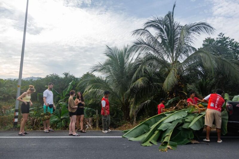 Khao Lak Eco Safari: Elephant Sanctuary Small Group Tour - What Makes This Tour Stand Out?