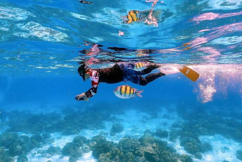 Khao Lak: Racha Islands Premium Tour with Snorkel & Lunch - The Experience: What Works and What to Consider