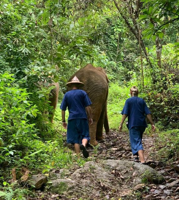 Khao Sok: Unique Dawn Ethical Elephant Sanctuary Experience - Who Will Love This Tour?