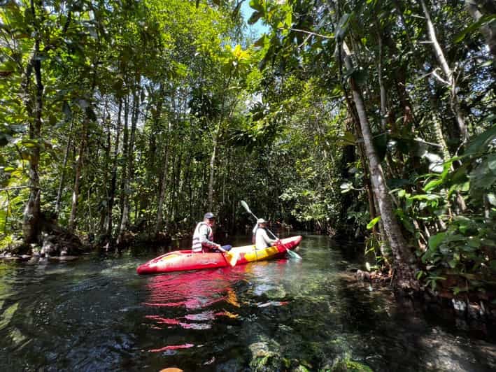 Klong Rud Kayaking with Hotel Transfer - The Experience from a Traveler’s Perspective