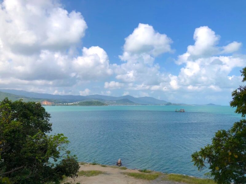 Koh Samui: 4x4 Off Road Island Safari Tour Including Lunch - Transportation and Group Size
