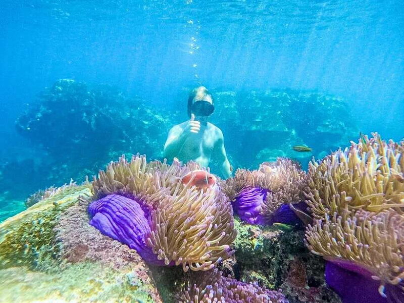 Koh Tao: Koh Nangyuan & Hidden Bays Snorkeling Tour w/ Lunch - The Journey to Koh Nang Yuan