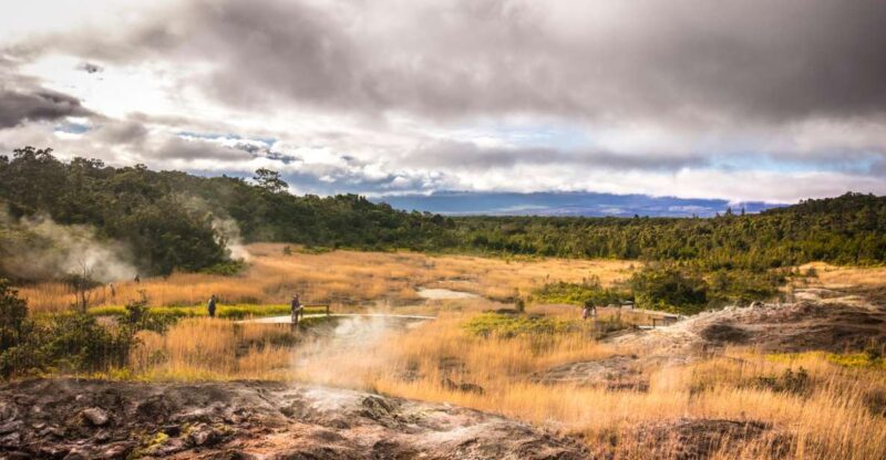 Kona: Hawaii Volcanoes National Park Tour - Punaluu Black Sand Beach – A Unique Coastal Experience