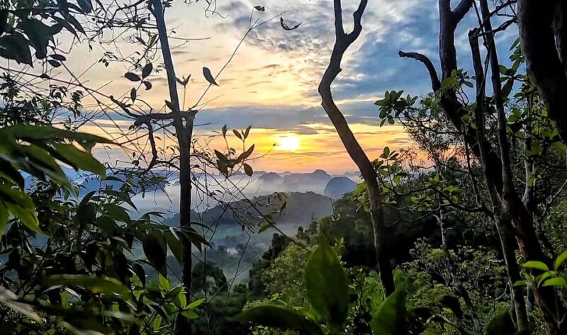 Krabi: Dragon Crest Sunrise Hike &Klong root Kayak Adventure - Why This Tour Offers Great Value
