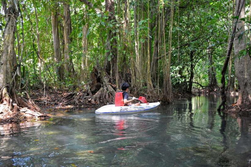 Krabi: Emerald Cool-Down & Kayak Odyssey in Din Daeng Canyon - Final Thoughts