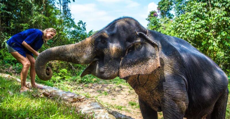 Krabi: Ethical Elephant Sanctuary Experience - The Itinerary in Detail