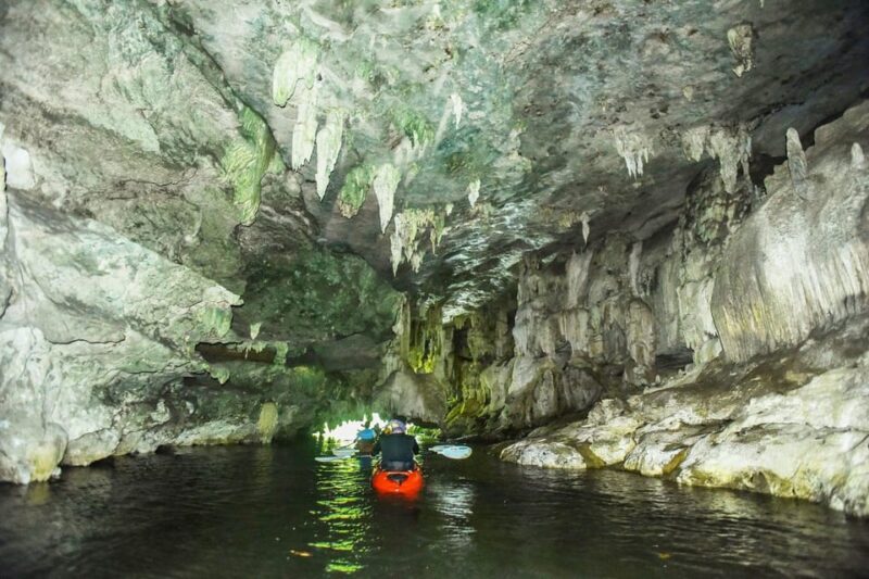 Krabi: Half-Day Bor Thor Mangrove Kayaking Tour - What is the Krabi Bor Thor Kayaking Tour?