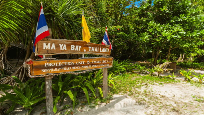 Krabi Phi Phi & Bamboo Island One Day Tour By Speed Boat - The Reality: What Travelers Say