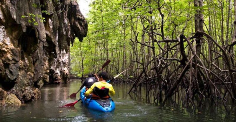 Krabi: Private Sea Kayaking in Ao Thalane and Hong Island - Visiting Hong Island: A Beautiful Slice of Paradise