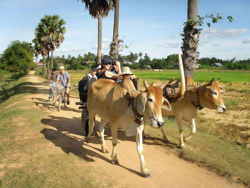 Kratie: Koh Trong Island Cycle Tour with Snacks - Practical Considerations: What to Know Before You Go