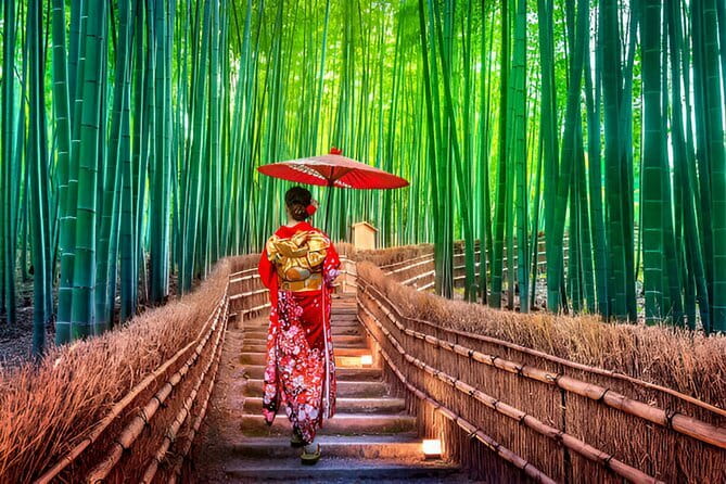 Kyoto and Nara Private Trip - The Transportation: A Comfortable, Stress-Free Ride
