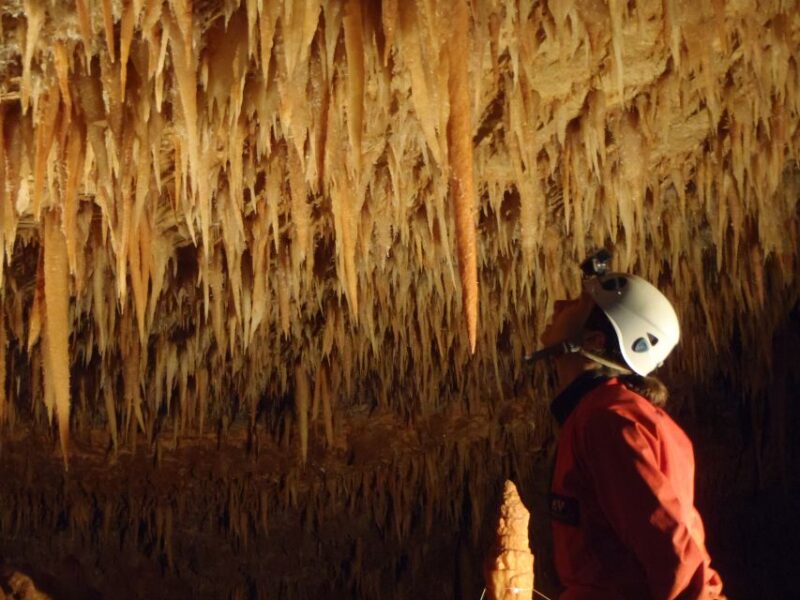 La Ciotat: Caving in Calanques National Park Half-Day Tour - What You Can Expect Inside the Cave