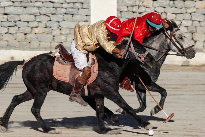 Ladakh 5-Star Premium Tour 7 Days - Why This Tour Offers Strong Value