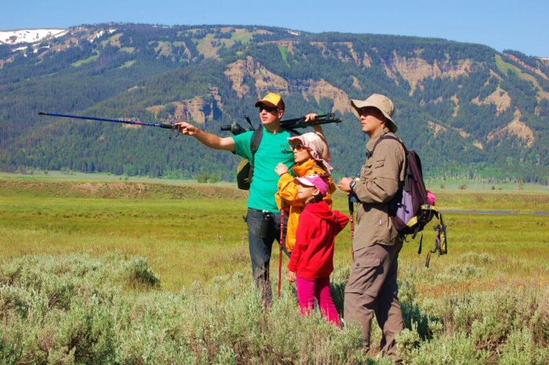 Lamar Valley: Safari Hiking Tour with Lunch - The Itinerary in Detail