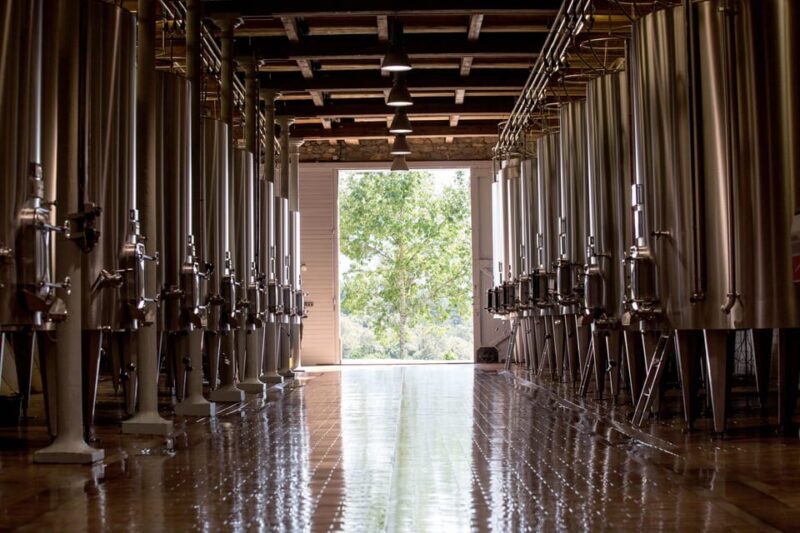 Languedoc: Heritage Tour & Tasting at Domaine de Baronarques - A Detailed Look at the Experience