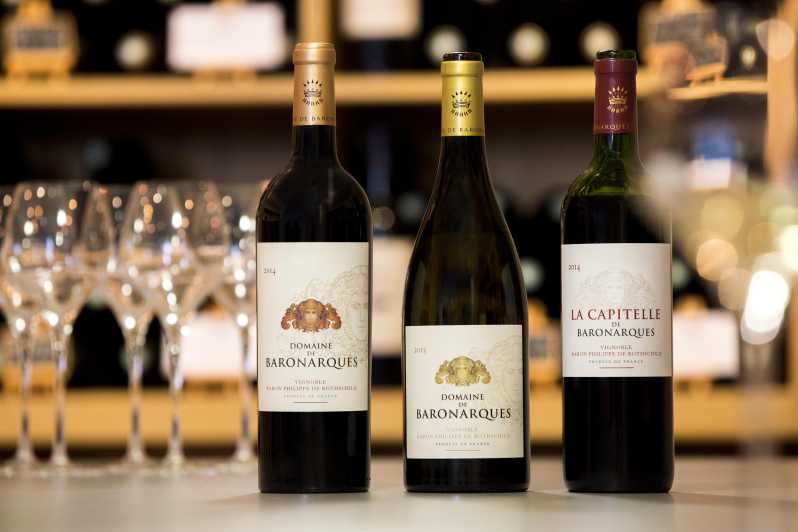 Languedoc: Terroir Tour & Tasting at Domaine de Baronarques - The Vineyard Adventure