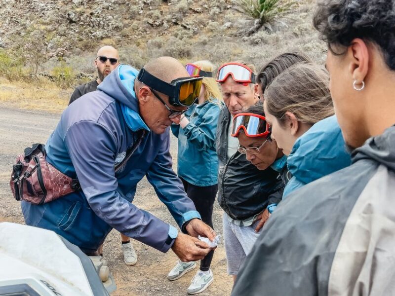 Lanzarote: Guided Off-Road Volcano Buggy Tour - Why This Tour Works for Frequent Travelers