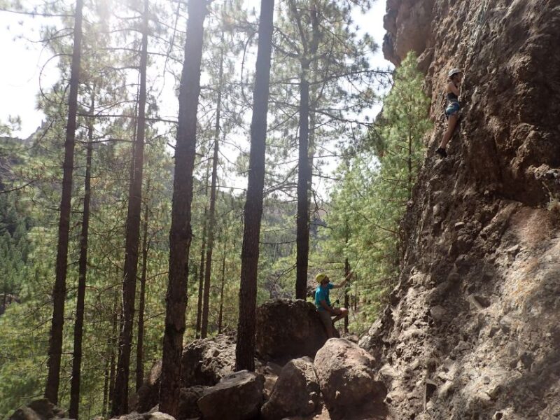 Las Palmas: Sunset Mountain Climbing Trip Near Roque Nublo - What To Know Before Booking