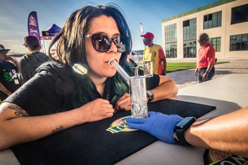Las Vegas: Cannabis Tour with Weed Lounge & Party Bus - Practical Considerations