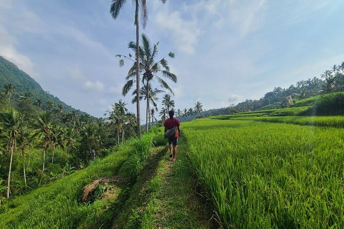 Lemukih Hidden Trekking Waterslide Sekumpul and Fiji Waterfall - A Day in the Life of the Lemukih Hidden Trekking Tour