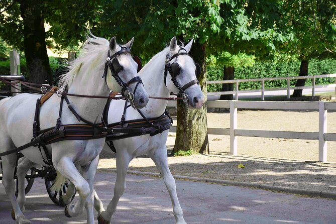 Lipica Stud Farm & Skocjan Caves - Small Group Tour from Koper - Final Thoughts