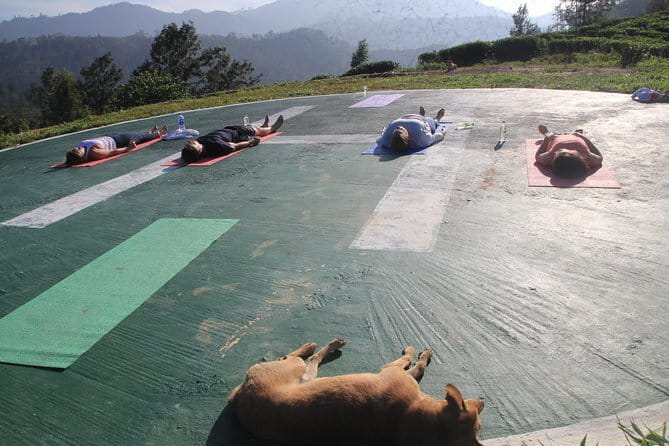 Little Adams peak Sunrise Hike and Yoga Lesson . - Who Will Love This Tour?