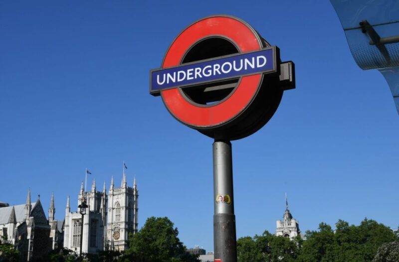 London: Thames River Cruise and 3-Hour Westminster Tour - Who Will Love This Tour?