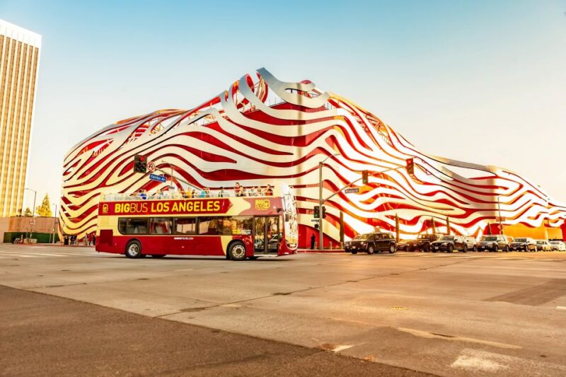 Los Angeles: Hop-on Hop-off Sightseeing Tour by Open-top Bus - The Experience: What It Feels Like