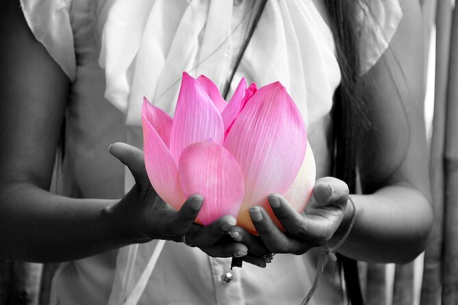 Lotus Silk Farm: Discover Learn and Experiment the Lotus Flower - An In-Depth Look at the Lotus Silk Farm Experience